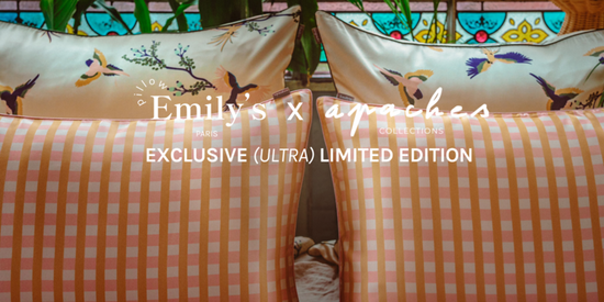 Emily's Pillow - 100% Natural and Organic Silk Pillowcase